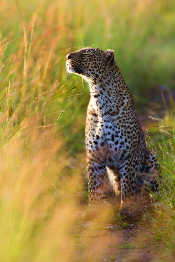 Kenya, Bush and Beach | KENYA Tours & Travel | ExotikTours