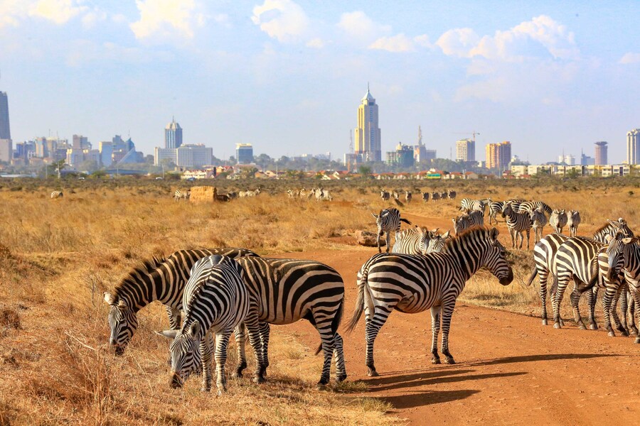 Kenya, Bush and Beach | KENYA Tours & Travel | ExotikTours
