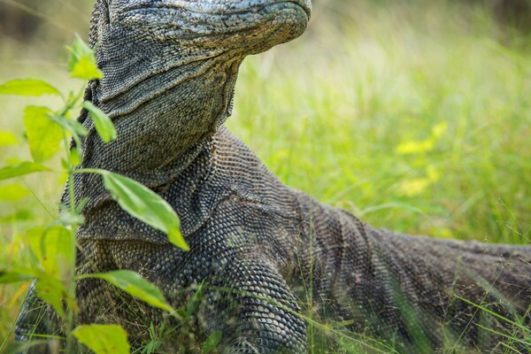 The magnificent Java - Bali overland - Exotik Journeys